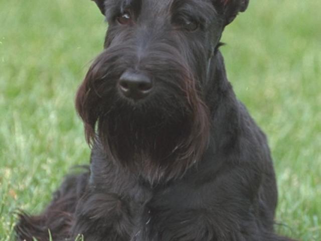 Audiovisual Records | George W. Bush Library